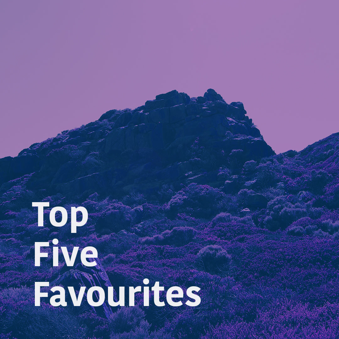 Corina Barnick's Favorites | OTIS Eyewear